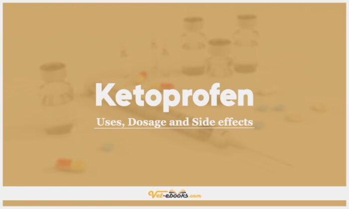 Ketoprofen Dose For Dogs & Cats | Vet Drugs List