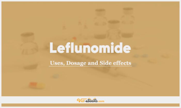 Leflunomide Dose For Dogs & Cats | Vet Drugs List