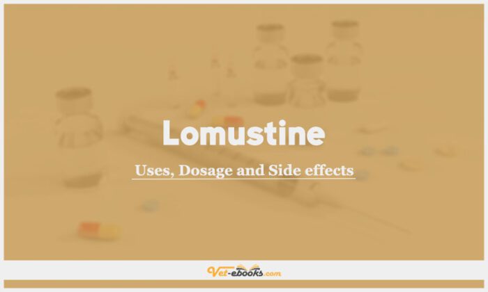 Lomustine (CCNU) Dose For Dogs & Cats | Vet Drugs List