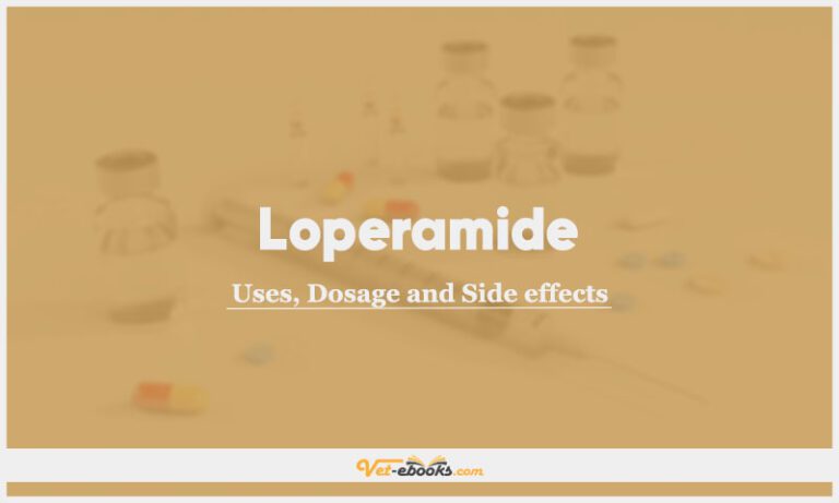 Loperamide Dose For Dogs & Cats | Vet Drugs List