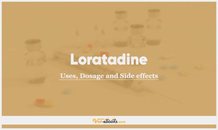 Loratadine Dose For Dogs & Cats | Vet Drugs List