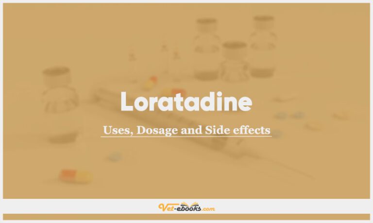 Loratadine Dose For Dogs & Cats | Vet Drugs List