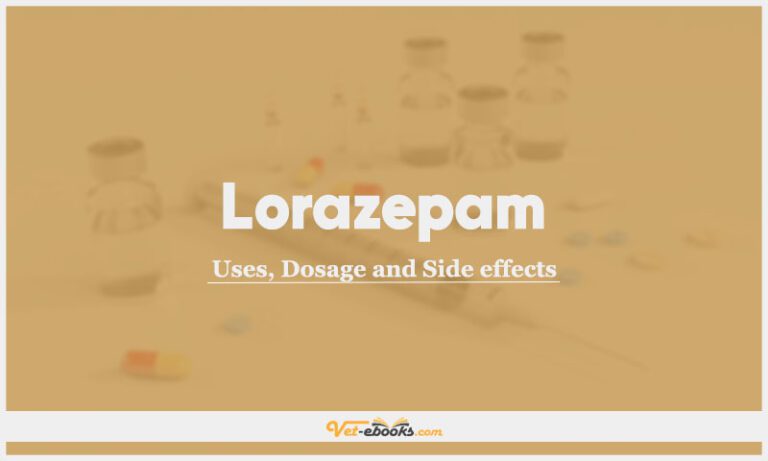 Lorazepam Dose For Dogs & Cats | Vet Drugs List