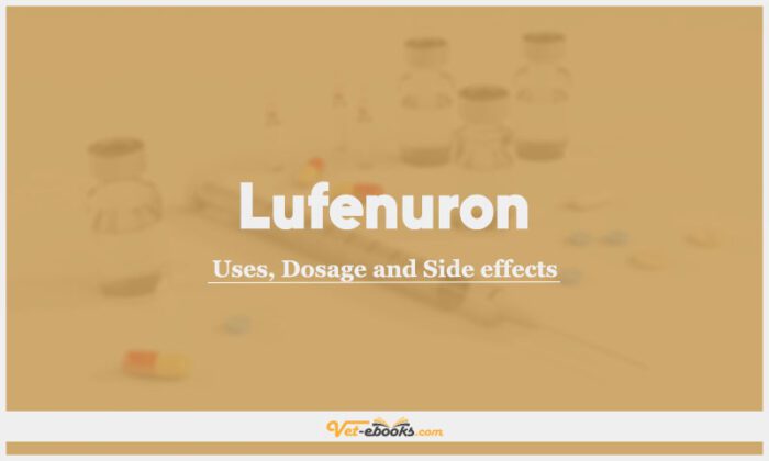 Lufenuron Dose For Dogs & Cats | Vet Drugs List