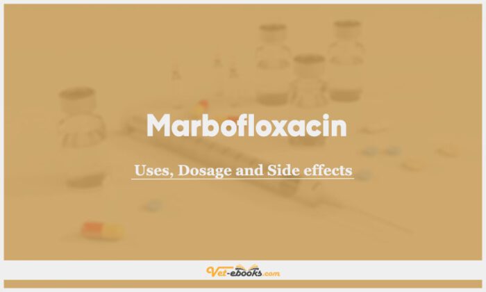 Marbofloxacin Dose For Dogs & Cats | Vet Drugs List