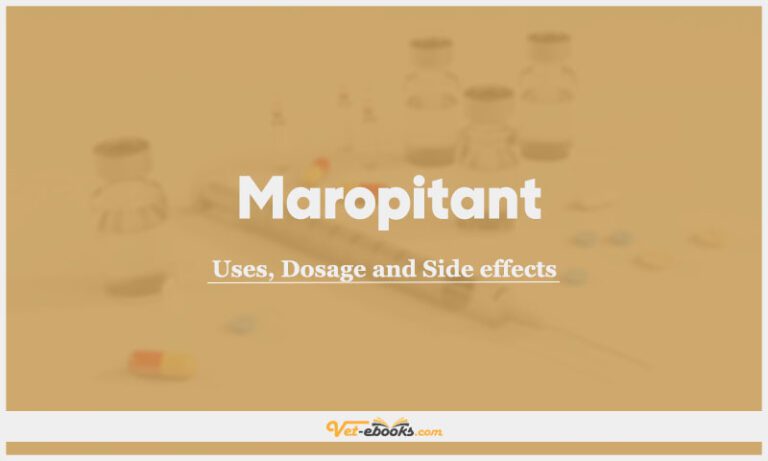 Maropitant Dose For Dogs & Cats | Vet Drugs List