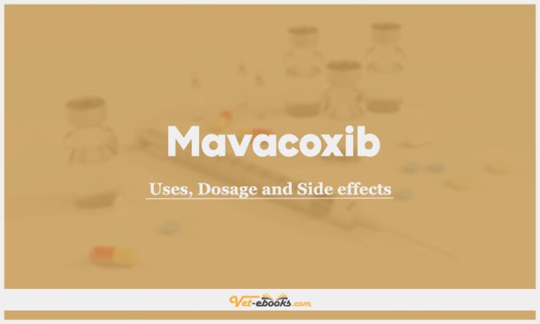 Mavacoxib Dose For Dogs & Cats | Vet Drugs List