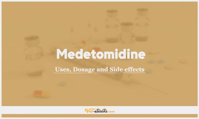 Medetomidine Dose For Dogs & Cats | Vet Drugs List
