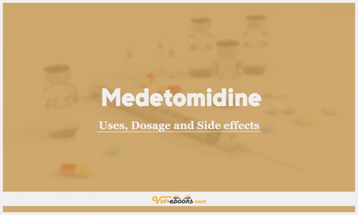 Medetomidine Dose For Dogs & Cats | Vet Drugs List