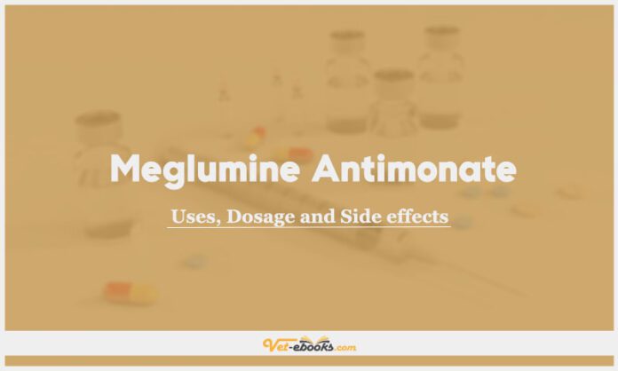 Meglumine Antimonate Dose For Dogs & Cats | Vet Drugs List