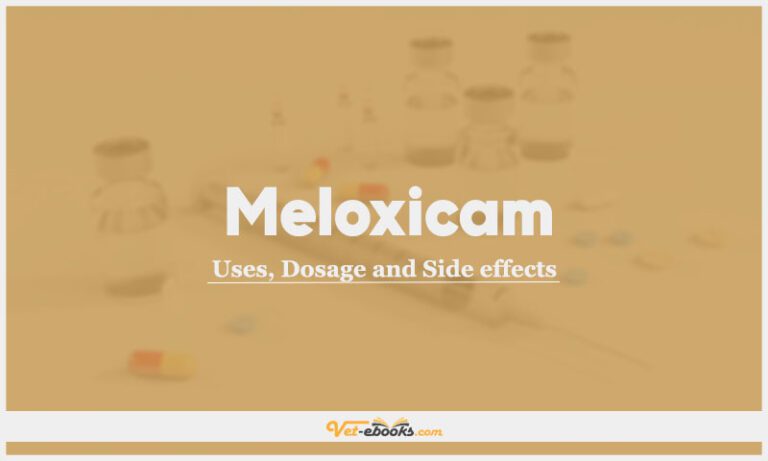 Meloxicam Dose For Dogs & Cats | Vet Drugs List
