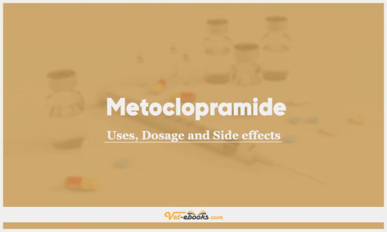 Metoclopramide Dose For Dogs & Cats | Vet Drugs List