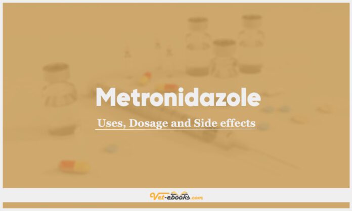 Metronidazole Dose For Dogs & Cats | Vet Drugs List