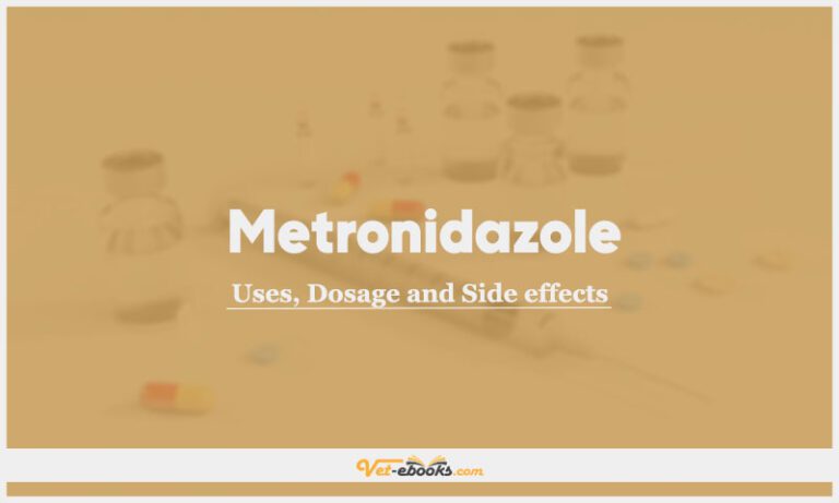 Metronidazole Dose For Dogs & Cats | Vet Drugs List