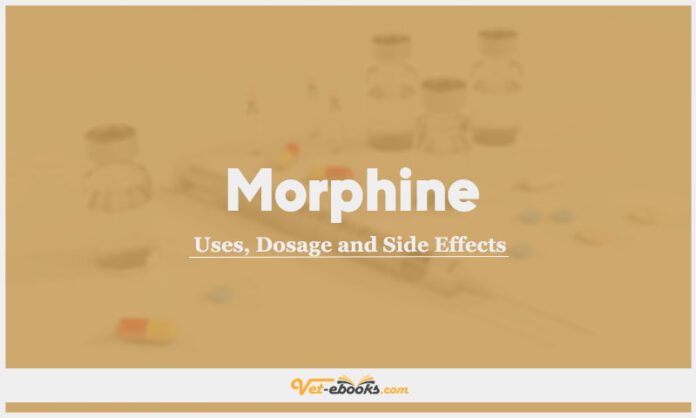 Morphine Dose For Dogs & Cats | Vet Drugs List