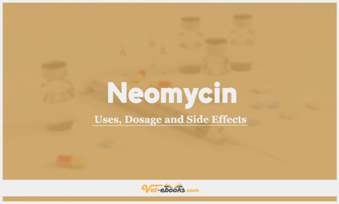 Neomycin Dose For Dogs & Cats | Vet Drugs List