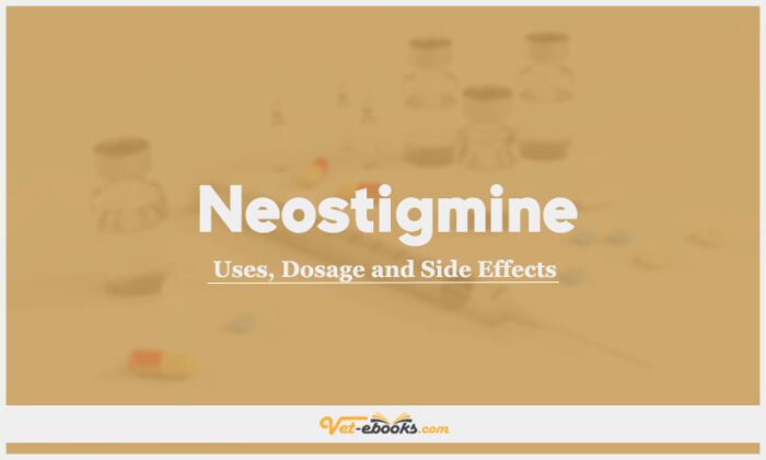 Neostigmine Dose For Dogs & Cats | Vet Drugs List