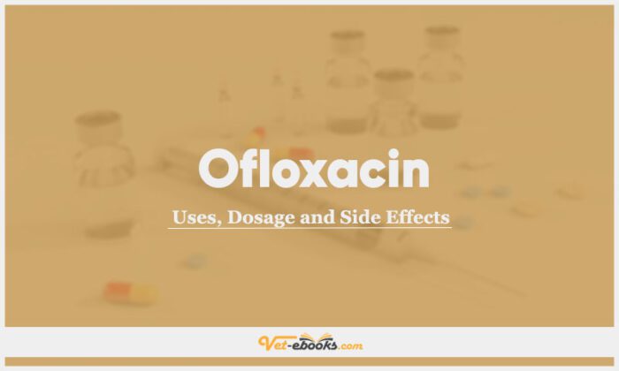 Ofloxacin Dose For Dogs & Cats | Vet Drugs List