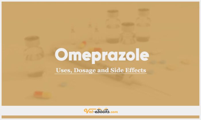 Omeprazole Dose For Dogs & Cats | Vet Drugs List