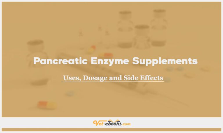 Pancreatic Enzyme Supplements Dose For Dogs & Cats | Vet Drugs List