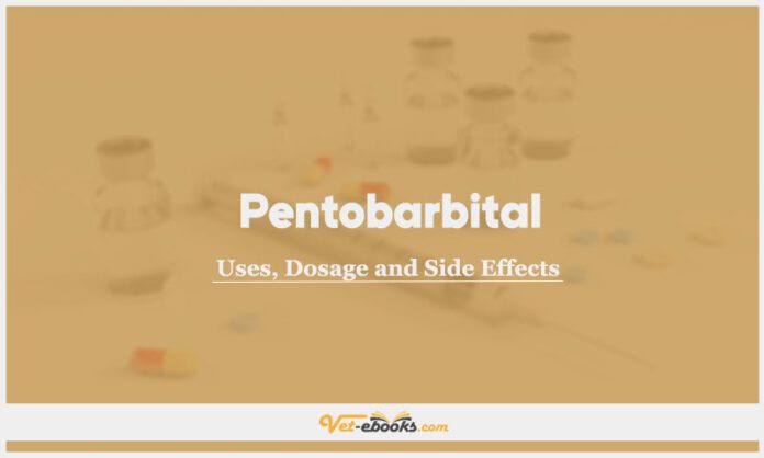 Pentobarbital (Pentobarbitone) Dose For Dogs & Cats | Vet Drugs List