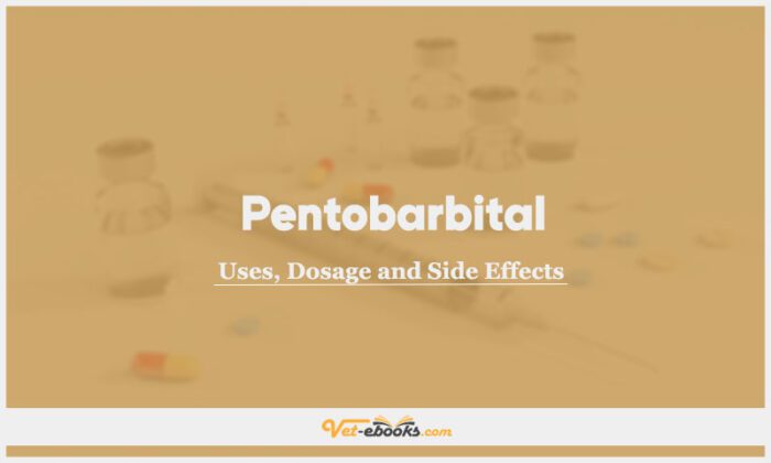 Pentobarbital (Pentobarbitone) Dose For Dogs & Cats | Vet Drugs List