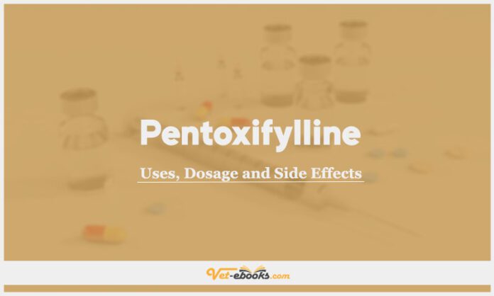 Pentoxifylline Dose For Dogs & Cats | Vet Drugs List