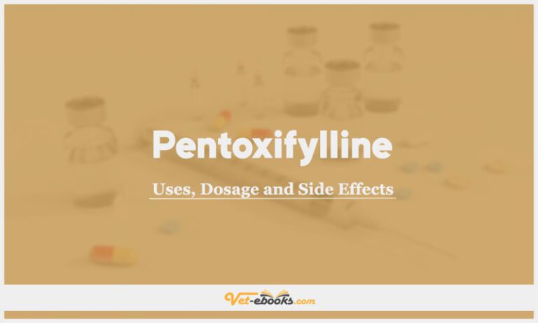 Pentoxifylline Dose For Dogs & Cats | Vet Drugs List