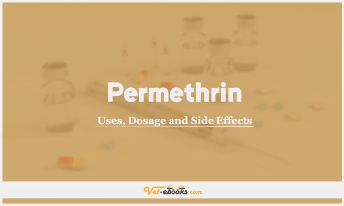 Permethrin Dose For Dogs & Cats | Vet Drugs List