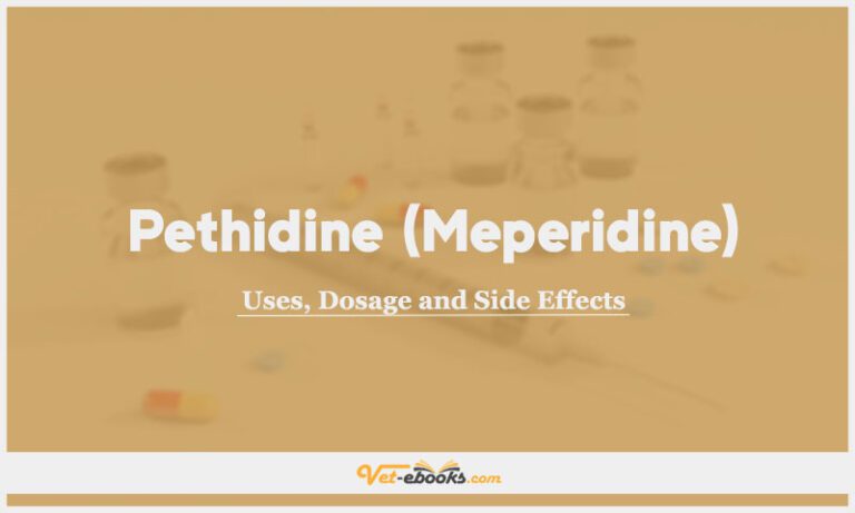 Pethidine (Meperidine) Dose For Dogs & Cats | Vet Drugs List
