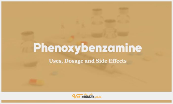 Phenoxybenzamine Dose For Dogs & Cats | Vet Drugs List