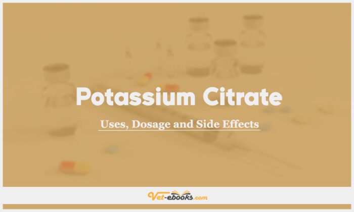 Potassium Citrate Dose For Dogs & Cats | Vet Drugs List