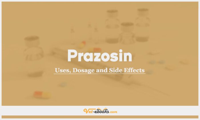 Prazosin Dose For Dogs & Cats | Vet Drugs List