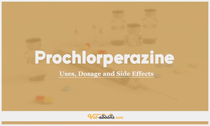 Prochlorperazine Dose For Dogs & Cats | Vet Drugs List