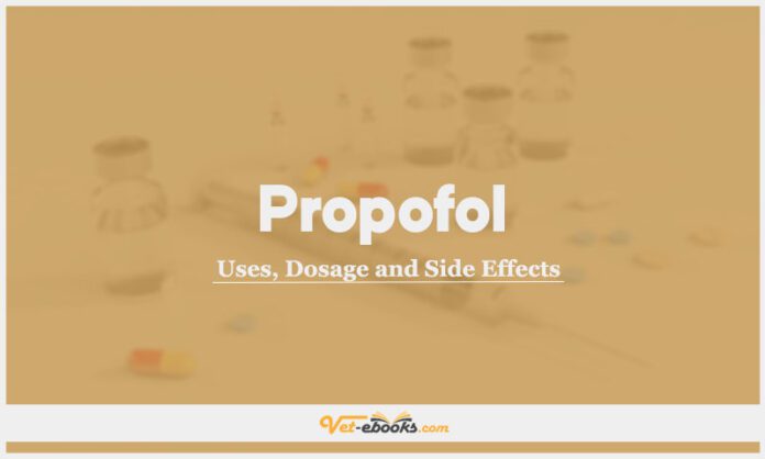 Propofol Dose For Dogs & Cats | Vet Drugs List