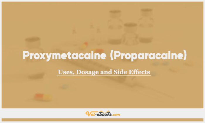 Proxymetacaine (Proparacaine) Dose For Dogs & Cats | Vet Drugs List