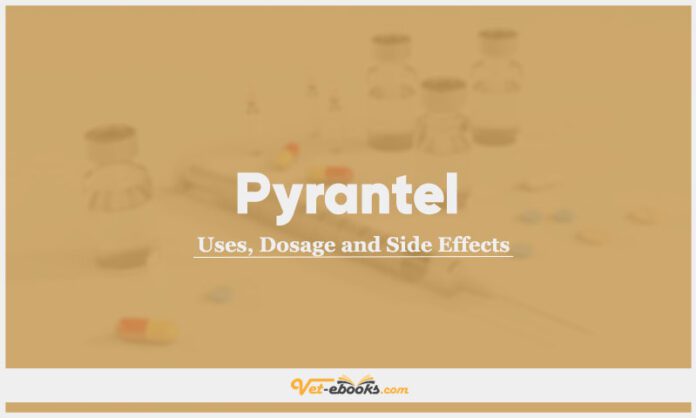 Pyrantel Dose For Dogs & Cats | Vet Drugs List