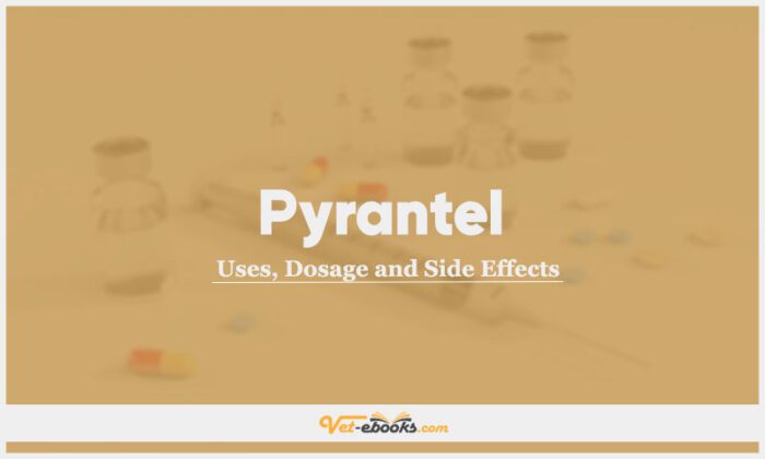 Pyrantel Dose For Dogs & Cats | Vet Drugs List