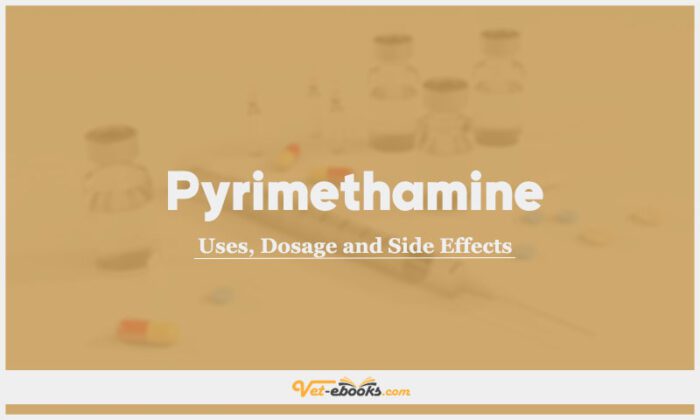 Pyrimethamine Dose For Dogs & Cats | Vet Drugs List