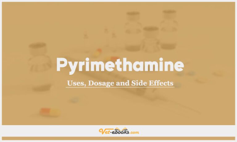 Pyrimethamine Dose For Dogs & Cats | Vet Drugs List