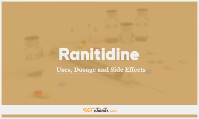 Ranitidine Dose For Dogs & Cats | Vet Drugs List
