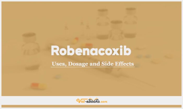 Robenacoxib Dose For Dogs & Cats | Vet Drugs List
