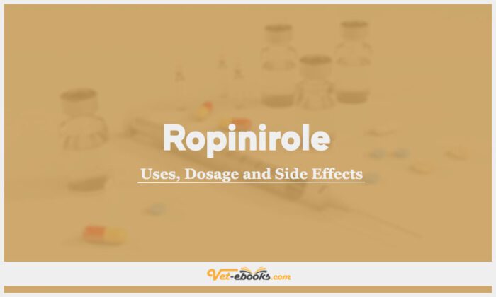 Ropinirole Dose For Dogs & Cats | Vet Drugs List