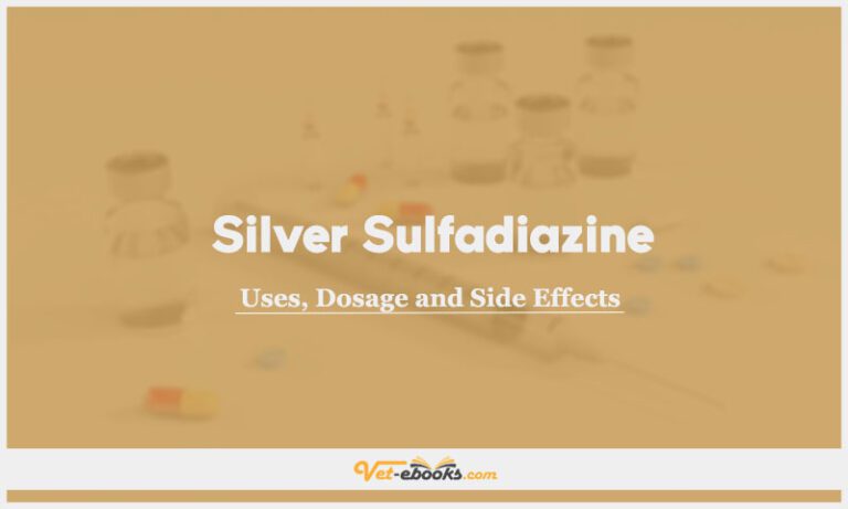 Silver Sulfadiazine Dose For Dogs & Cats | Vet Drugs List