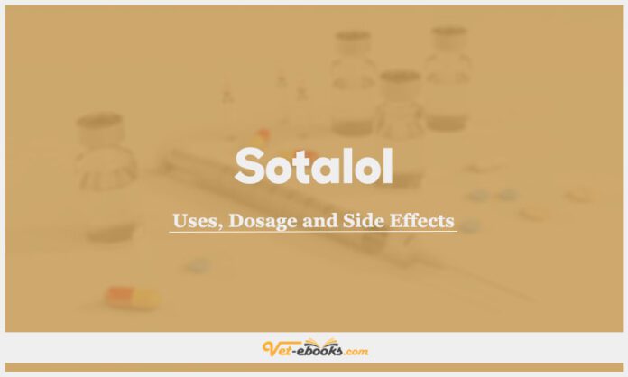 Sotalol Dose For Dogs & Cats | Vet Drugs List