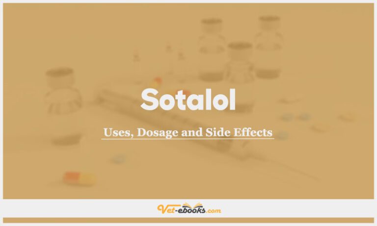 Sotalol Dose For Dogs & Cats | Vet Drugs List