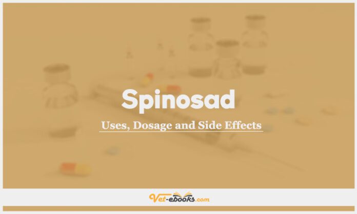 Spinosad Dose For Dogs & Cats | Vet Drugs List