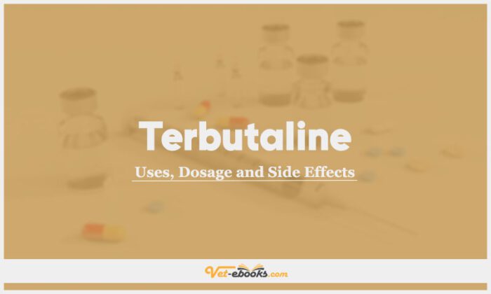 Terbutaline Dose For Dogs & Cats | Vet Drugs List
