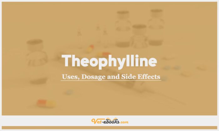 Theophylline Dose For Dogs & Cats | Vet Drugs List