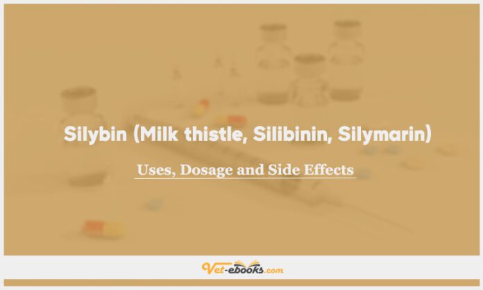 Silybin (Milk thistle, Silibinin, Silymarin) Dose For Dogs & Cats | Vet ...